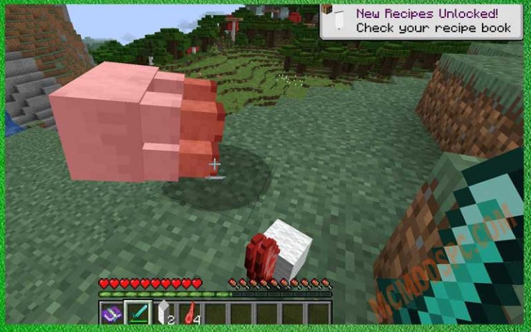 XP Storage Mod 1.16.5 - Minecraft PC