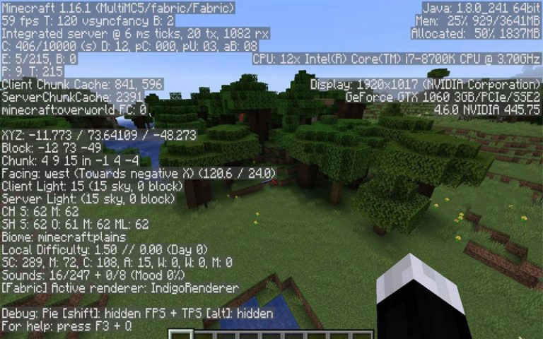 Sodium 1.16.5 - Minecraft PC