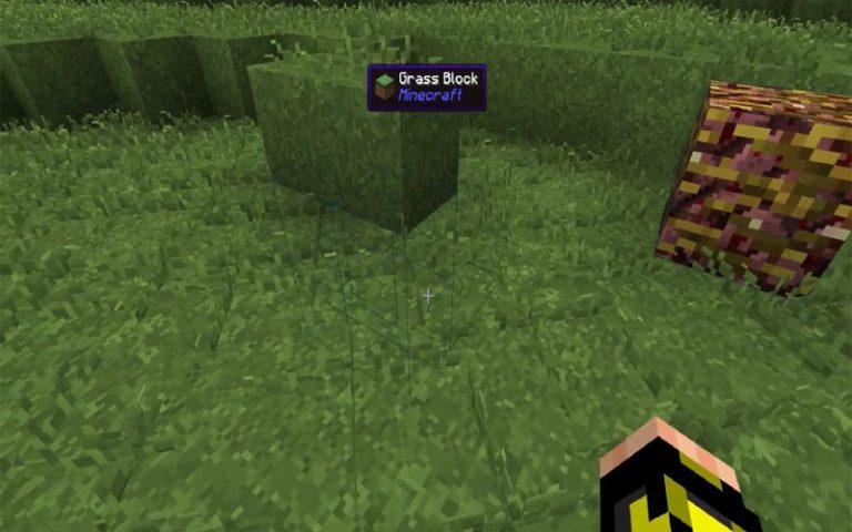 Advanced XRay Mod 1.16.5 - Minecraft PC