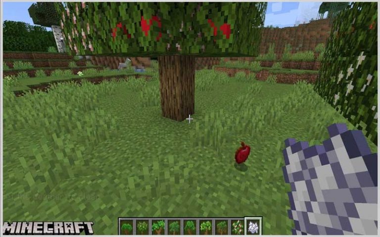 Fruit Trees 1.16.5 - Minecraft PC