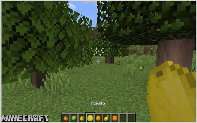 Fruit Trees 1.16.5 - Minecraft PC