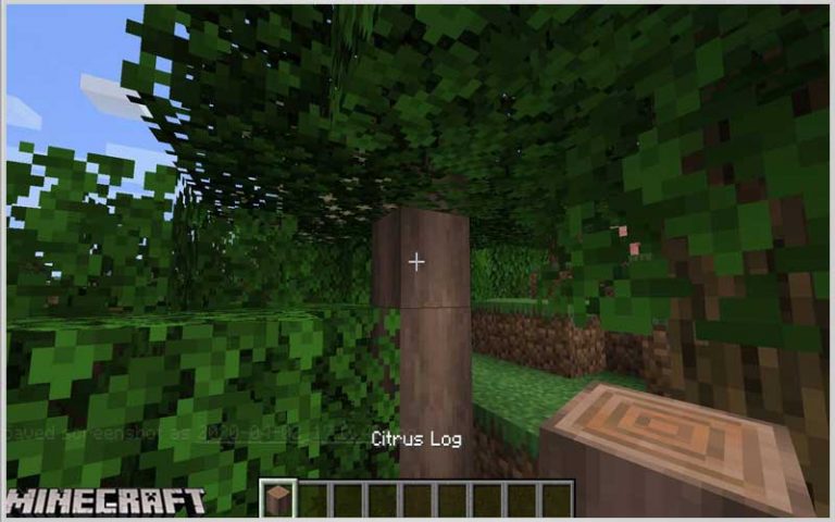 Fruit Trees 1.16.5 - Minecraft PC