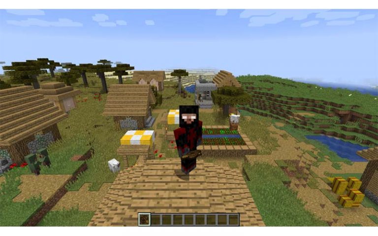 Magnesium 1.16.5 - Minecraft PC